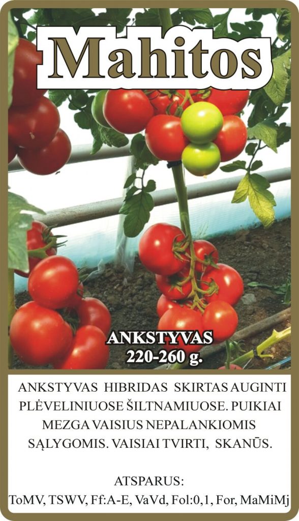 3. Mahitos gegužės 7-15 d. – Vytauga